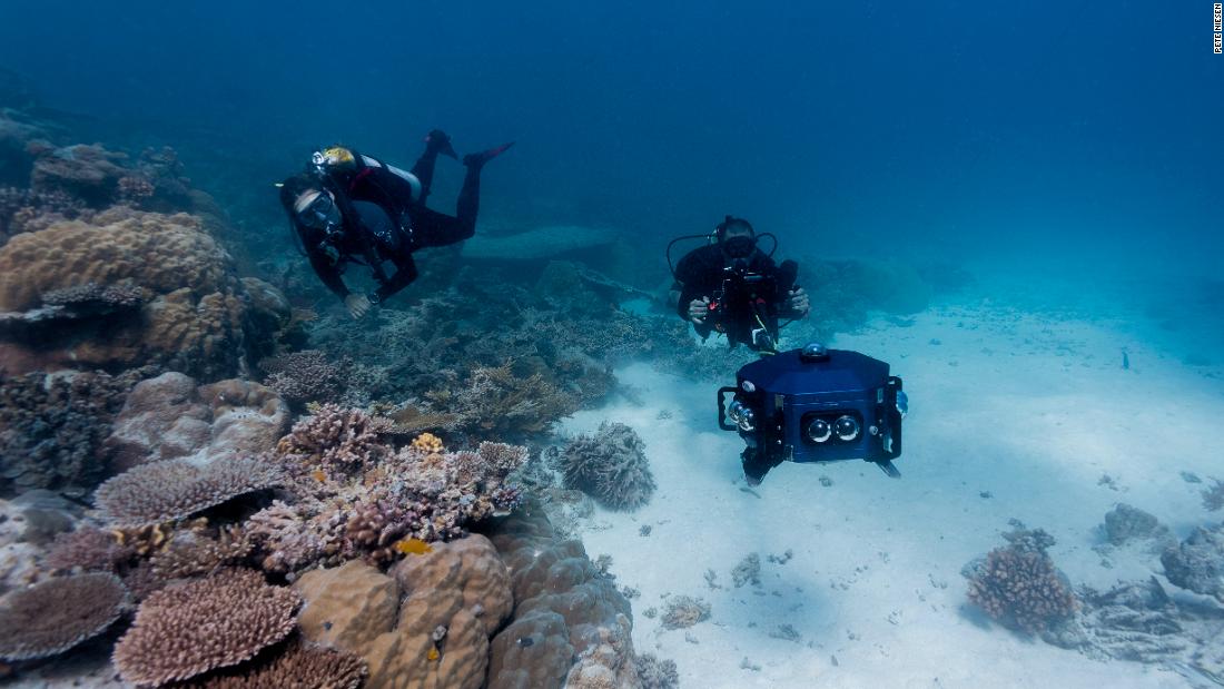 Marine Biologist Uses Virtual Reality Technology to Bring the Ocean ...