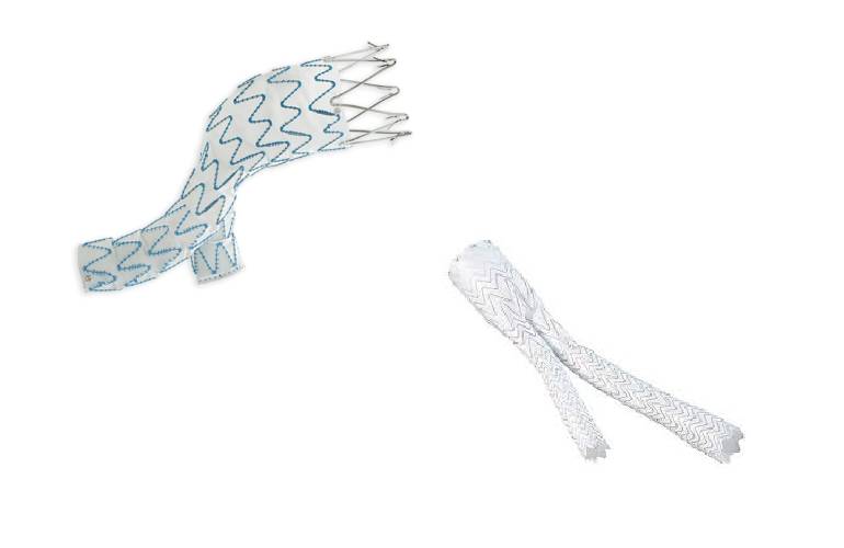 Head-to-head aortic stent graft study by Medtronic and Gore Medical ...